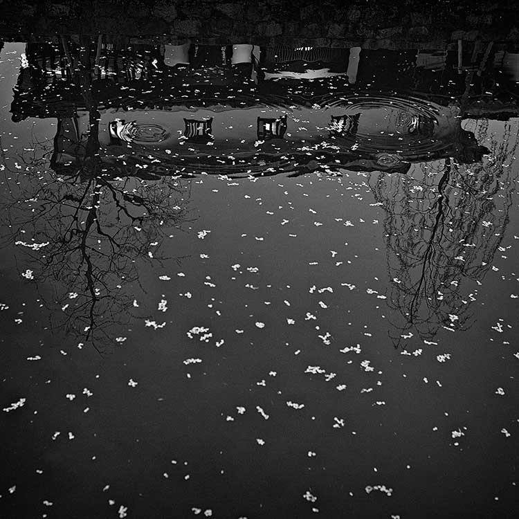 Silent Japan – Reflections of 3.11 » Documentary Photography by Derrick ...