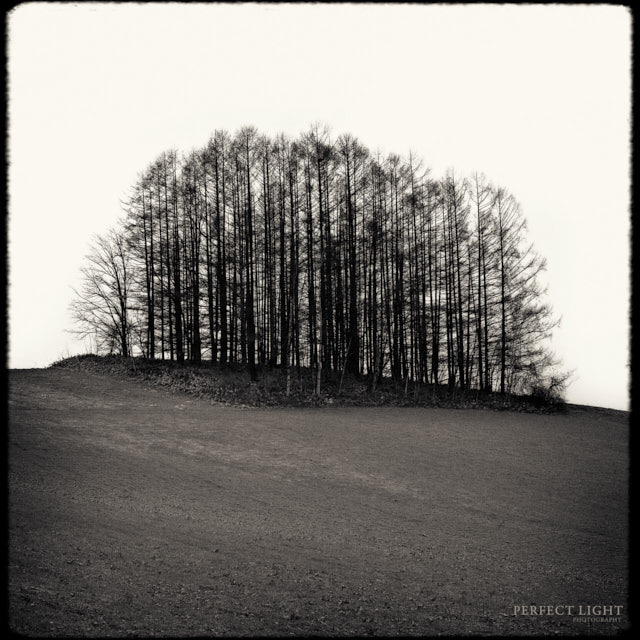 Silent Japan » Documentary Photography by Derrick Choo