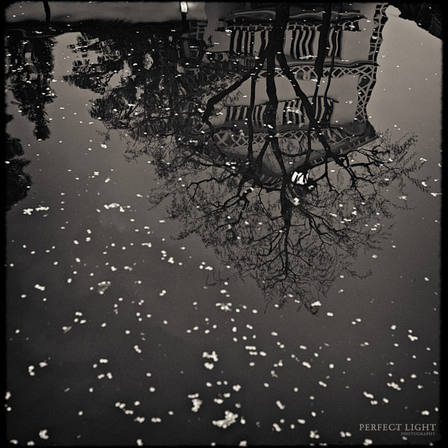 Silent Japan » Documentary Photography by Derrick Choo